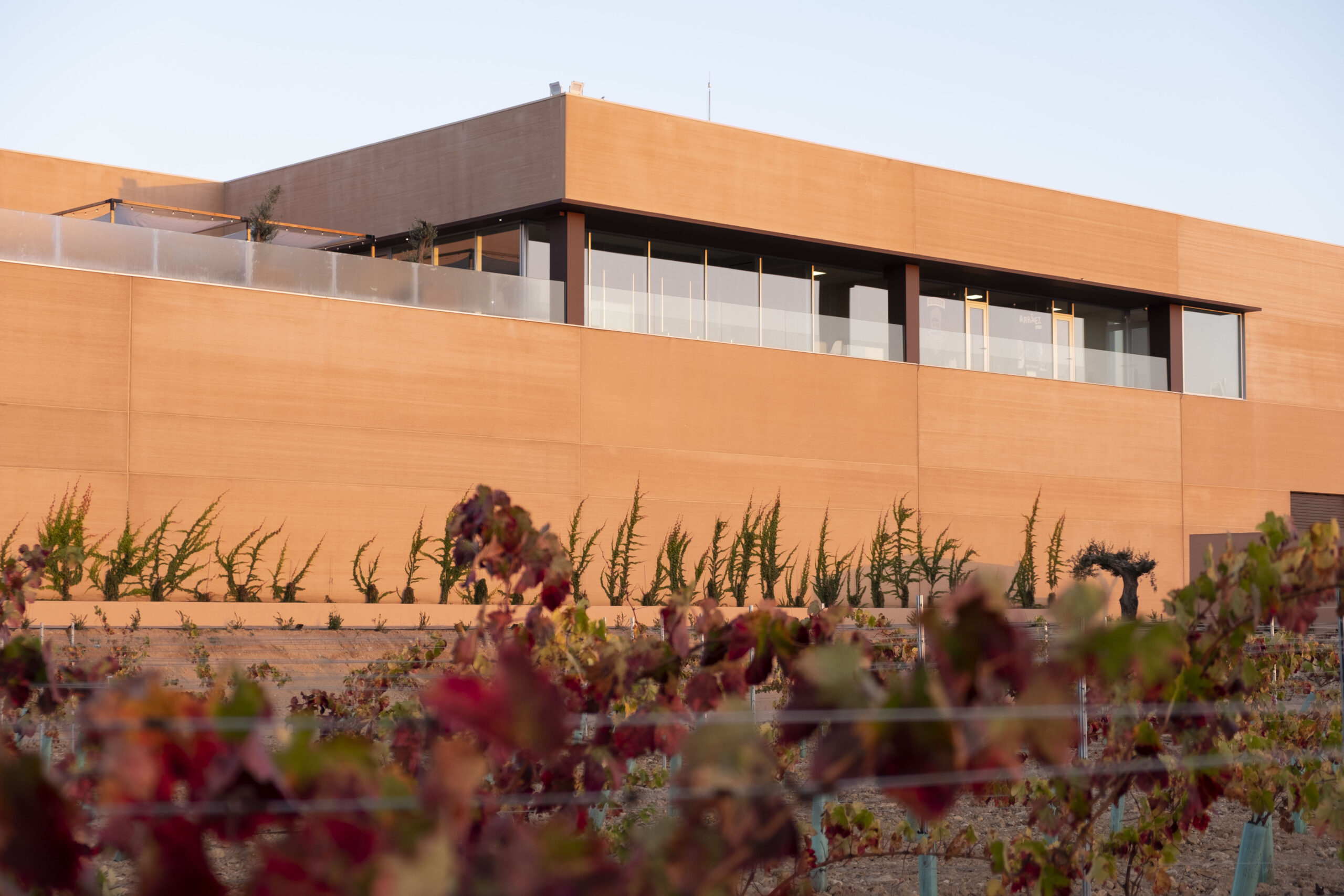 BODEGAS ARRÁEZ EN RENTRÉE CDICV - CDICV